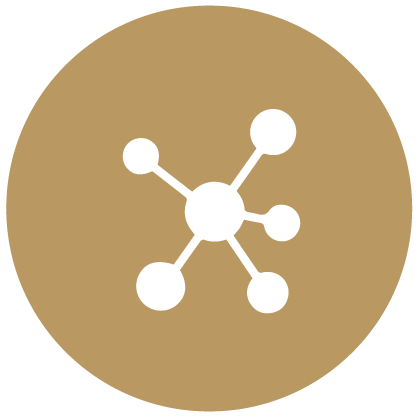 Forex Community – The Pips Pilot